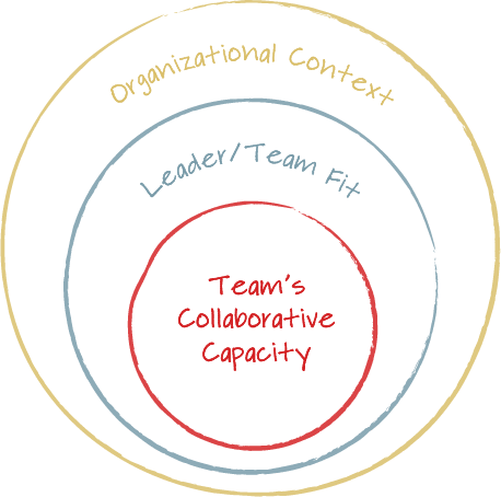 Systemic Team Coaching | Coach the Entire Team System